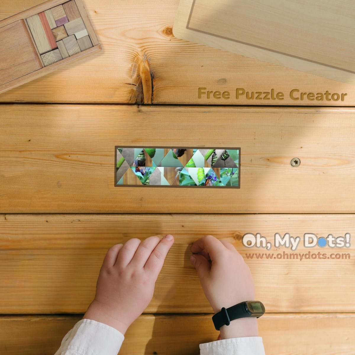 Play or print the free METAMORFOSIS Picture Puzzle game | Oh My Dots!