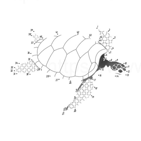 Play or print the free Turtle Connect the dots game | Oh My Dots!