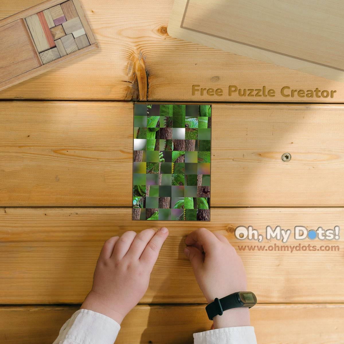 Play or print the free Casse tête animal Picture Puzzle game | Oh My Dots!